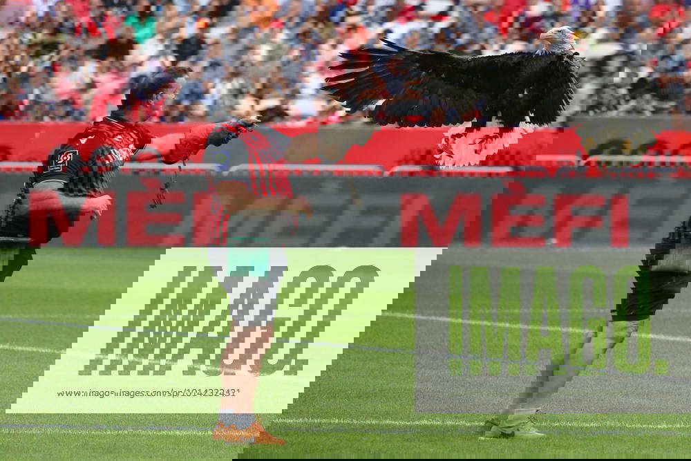 Nice, France, 28th August 2022. Falconer Jean-Philippe Roman and Mefi ...