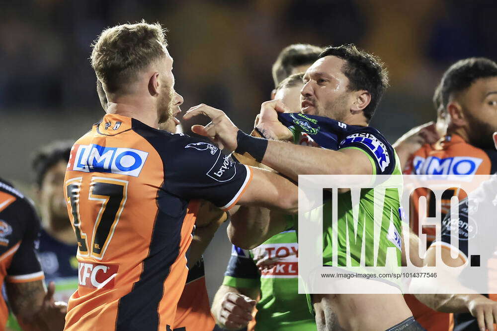 NRL TIGERS RAIDERS, Austin Dias of the Tigers brawls with Jordan Rapana ...