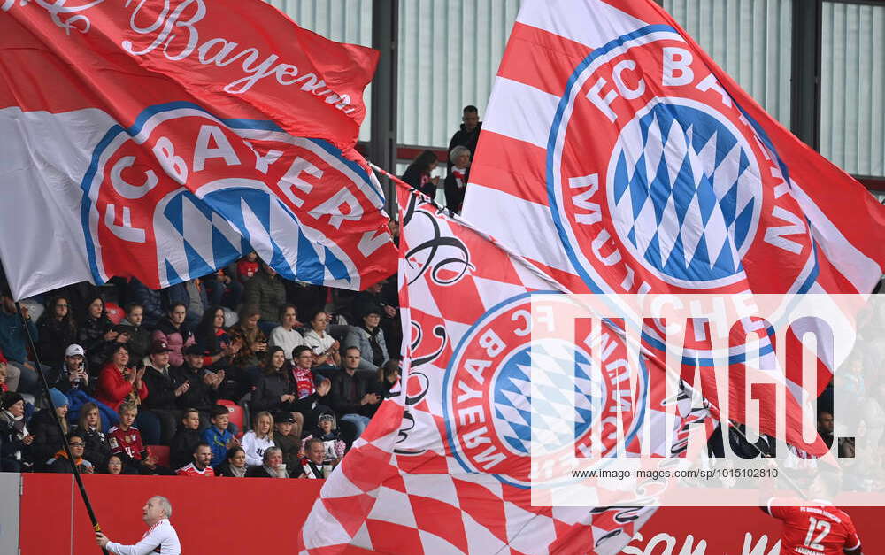 Randmotiv FC Bayern Fahnenschwenker,flags with club emblem football ...