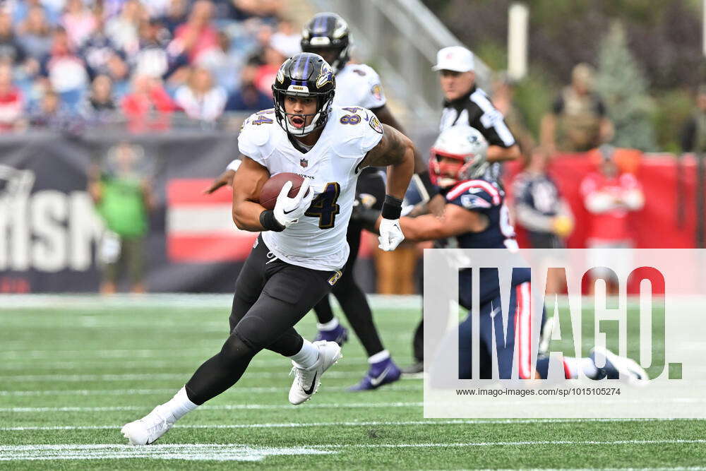 NFL, American Football Herren, USA Baltimore Ravens at New England ...