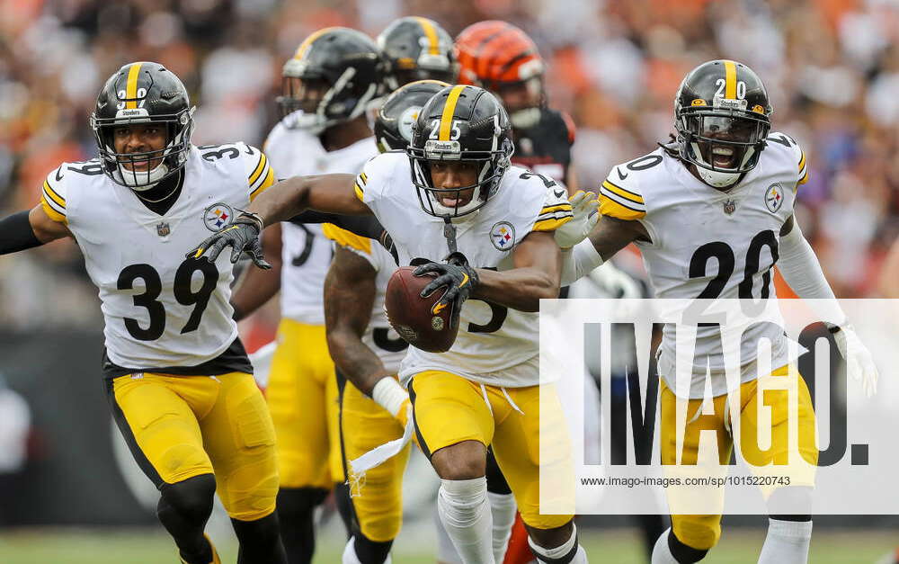 NFL, American Football Herren, USA Pittsburgh Steelers at Cincinnati ...