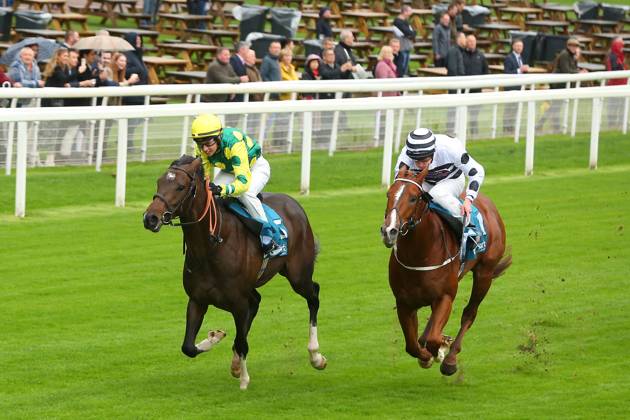 Horse racing York Races BETWEENTHESTICKS (5) ridden by Rose Dawes and ...