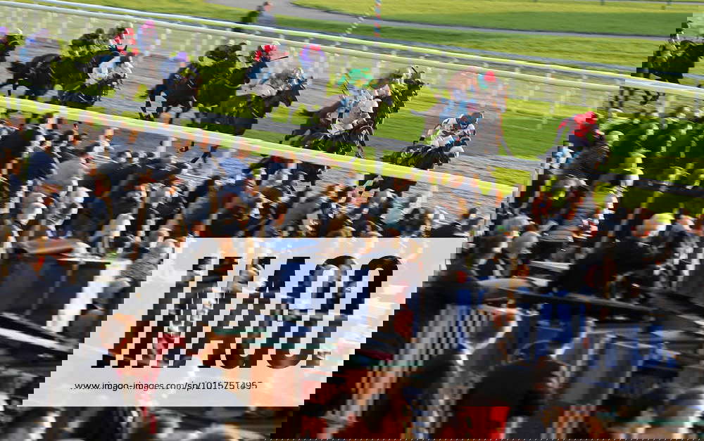 Horse racing York Races YANIFER (2) ridden by Oisin McSweeney and ...
