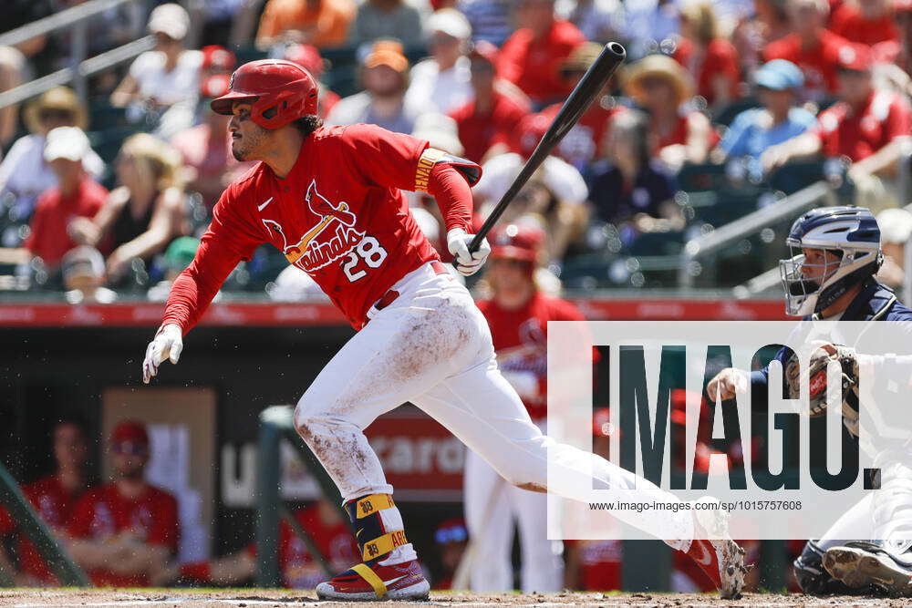 MLB, Baseball Herren, USA Spring Training-Houston Astros at St. Louis ...