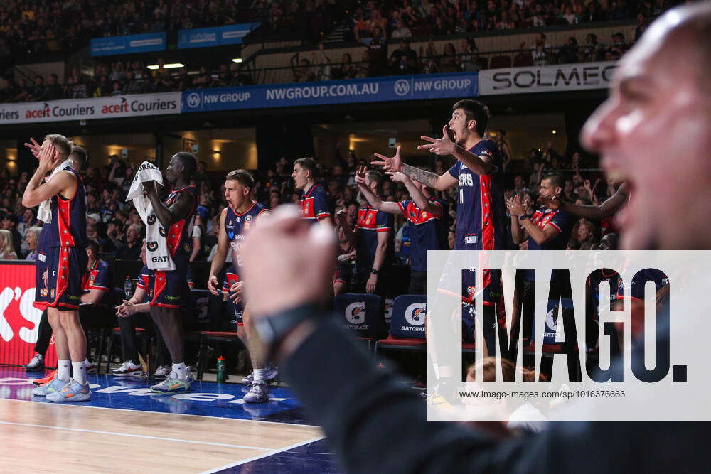 NBL 36ERS HAWKS, The Adelaide bench and fans celebrate during the NBL ...