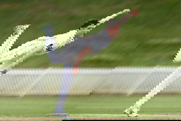 CRICKET SHIELD NSW QLD, Mitchell Swepson of the Bulls (left) celebrates ...