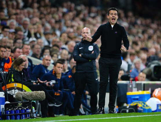 LONDON, ENGLAND - OCTOBER 29: Fulham FC Head Coach Marco Silva ahead of ...