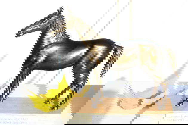 DEU, SILVER HORSE, 30 10 2022, Hoppegarten, Berlin, DEU, SILVER HORSE ...