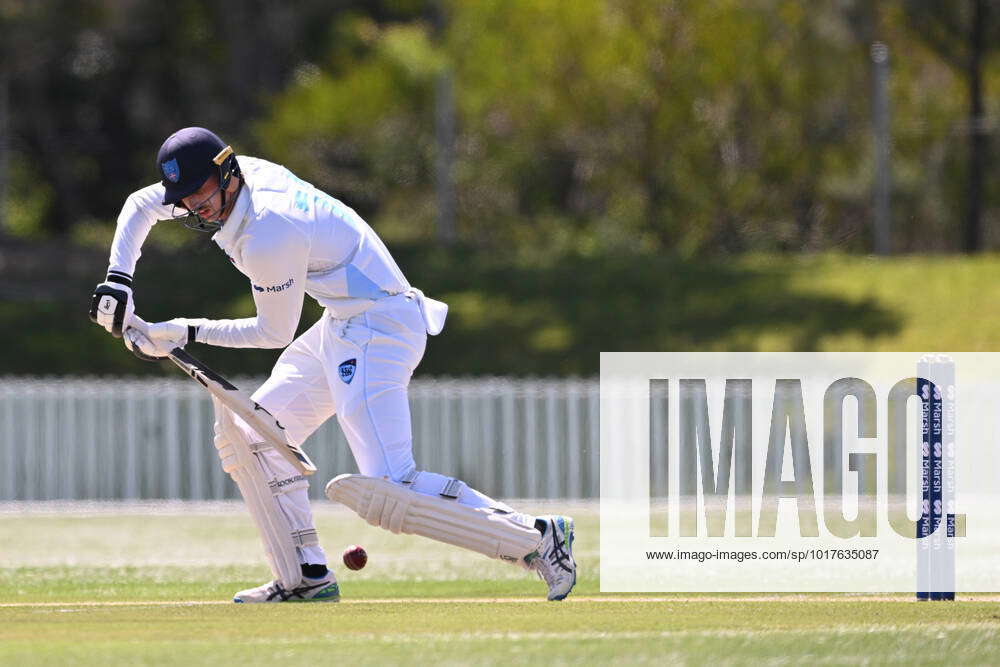 CRICKET SHIELD NSW SA, Blake Nikitaras of NSW batting during the Marsh ...