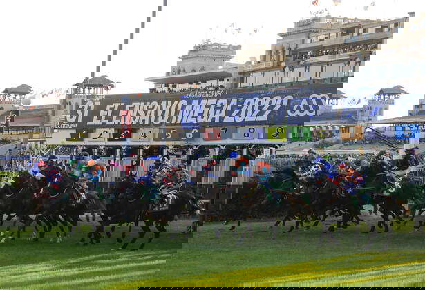 Santiago, 31 de octubre de 2022 Clasico El Ensayo 2022,ganada por ...