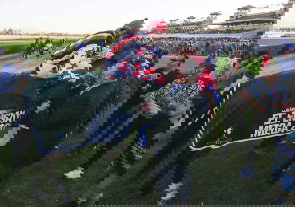 Santiago, 31 de octubre de 2022 Clasico El Ensayo 2022,ganada por ...