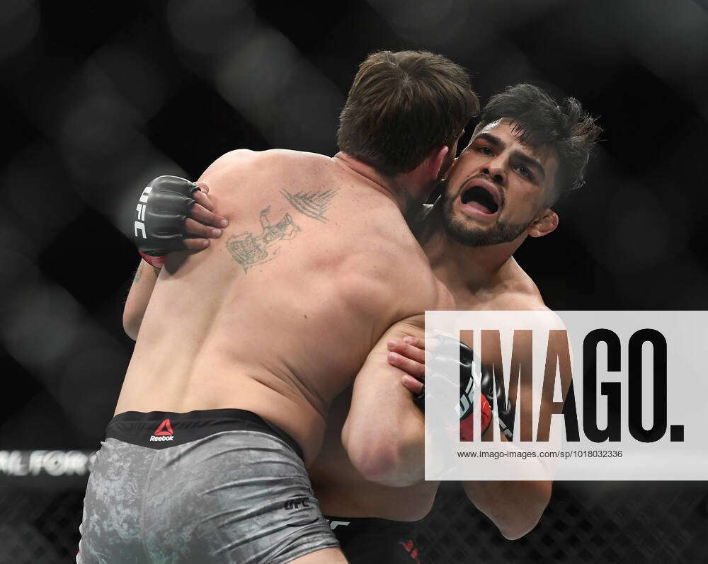 MMA: UFC 244-Gastelum vs Till, Nov 2, 2019; New York, NY, USA; Kelvin ...