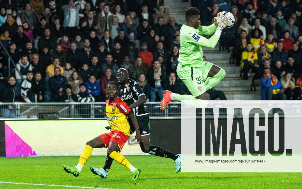 Brice Samba (RC Lens) FOOTBALL : Angers SCO vs RC Lens - Ligue 1 - Journee