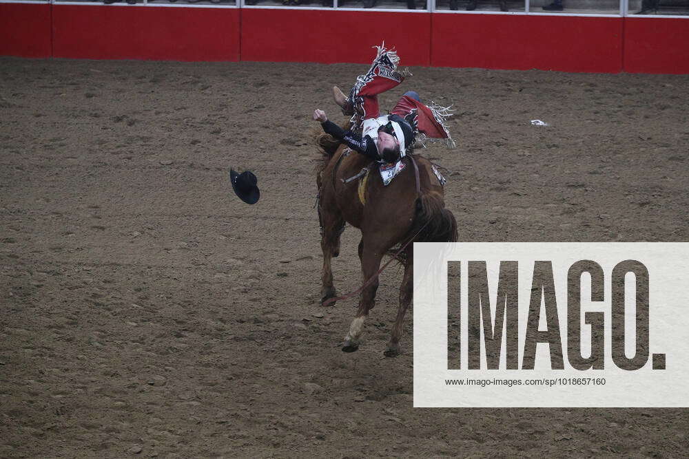 FloSports: FloRodeo San Antonio Stock Show and Rodeo, Feb 23, 2019; San ...