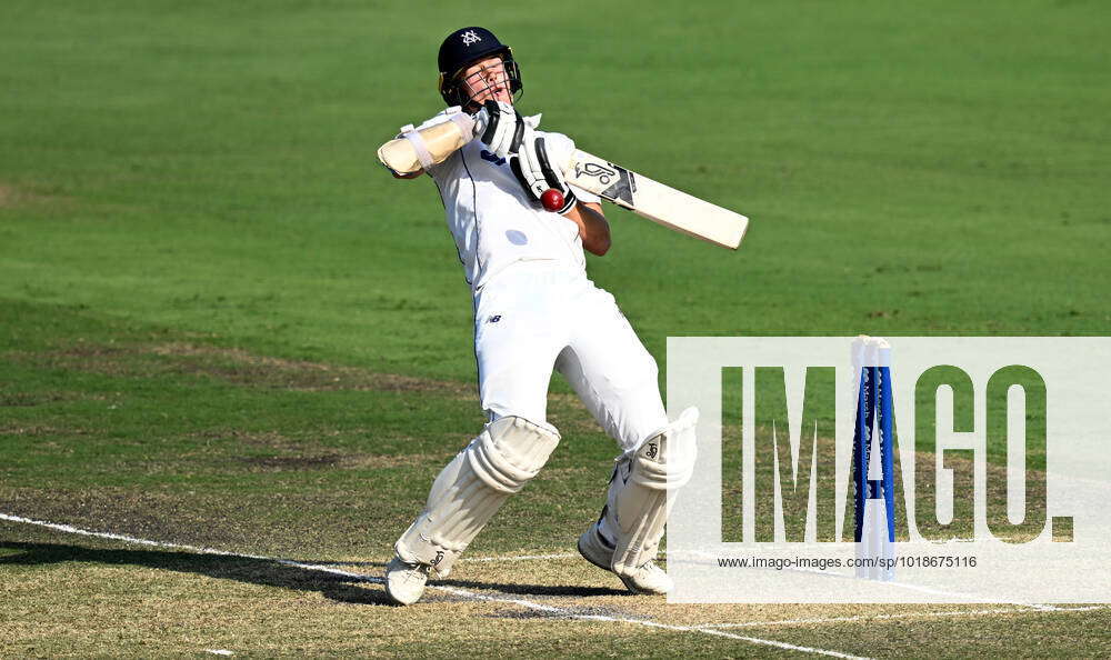 CRICKET SHIELD QLD VIC, Mitchell Perry of Victoria in action during the ...
