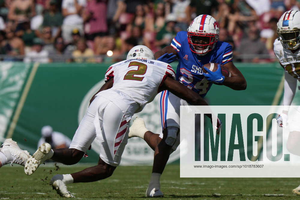 November 12, 2022, Tampa, Florida, USA: November 12, 2022: Southern ...