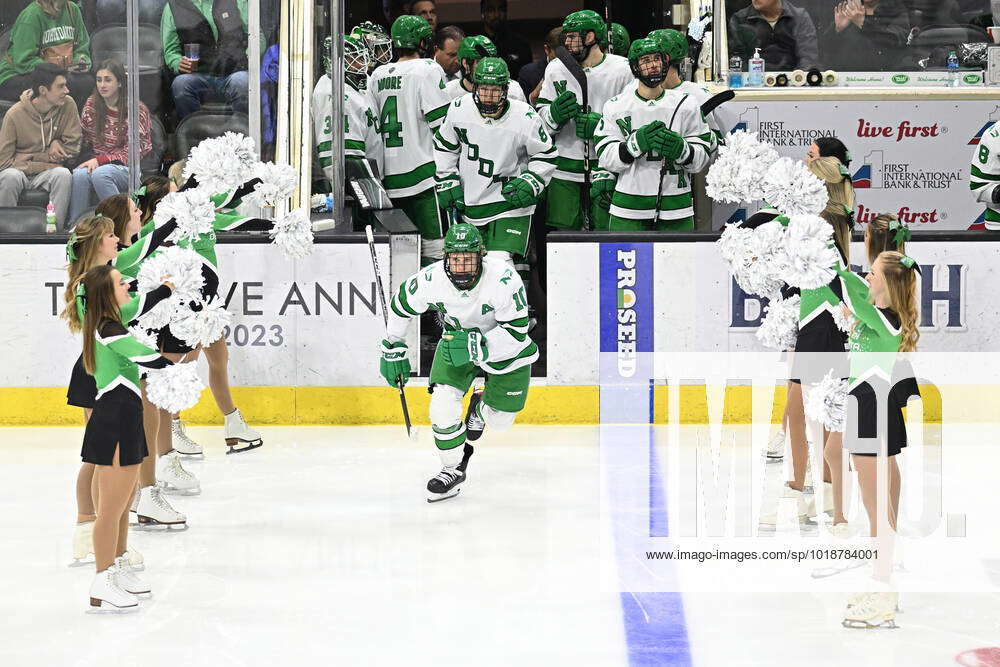 North Dakota Fighting Hawks forward Gavin Hain (10) takes the ice at the start of the third period