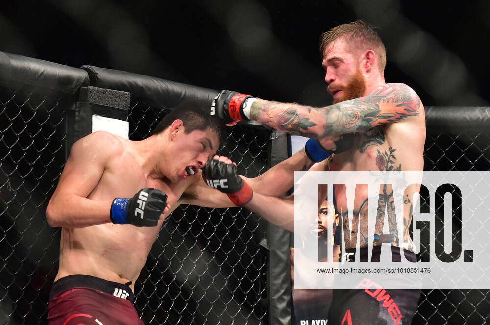 MMA: UFC Fight Night-Buenos Aires-Powell vs Pinedo, Nov 17, 2018 ...