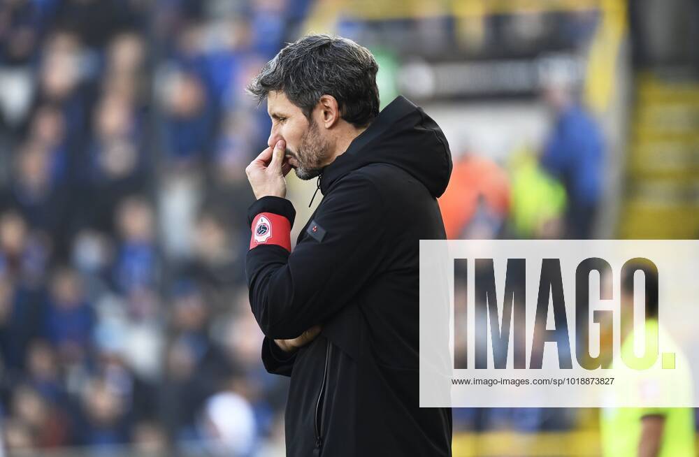 BRUGGE, BELGIUM - NOVEMBER 13 : Van Bommel Mark head coach of Antwerp ...