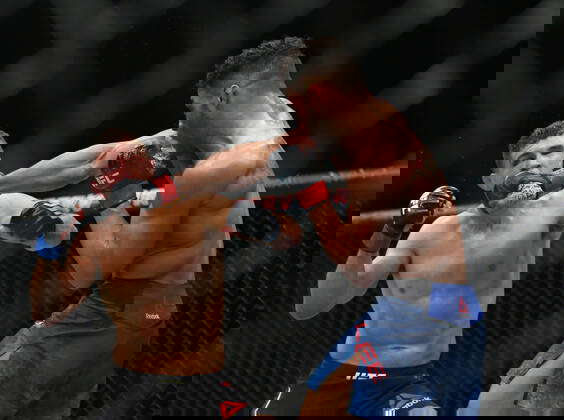 MMA: UFC Fight Night-Milwaukee-Lee vs Iaquinta, Dec 15, 2018; Milwaukee ...