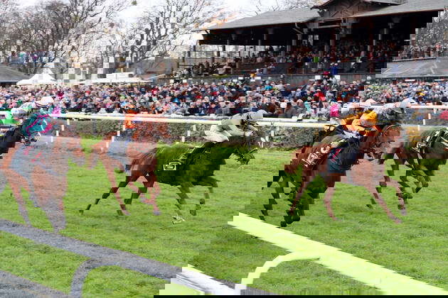 Dresden, Saxony, GER Night Shine with Michal Abik wins racecourse ...