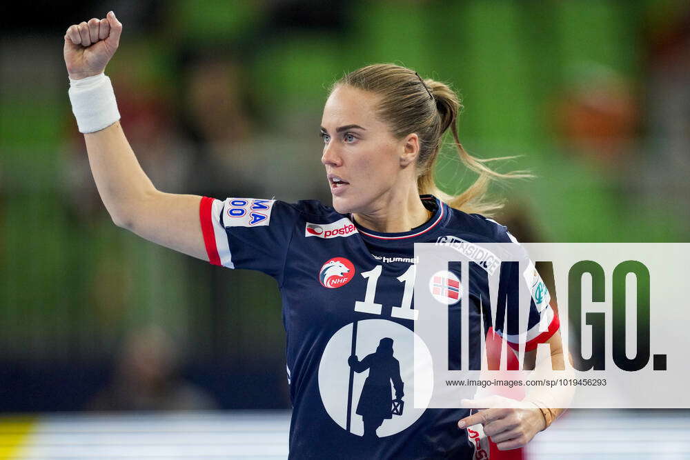 Handball EC Slovenia 2022, final Denmark Norway Ljubljana, Slovenia ...
