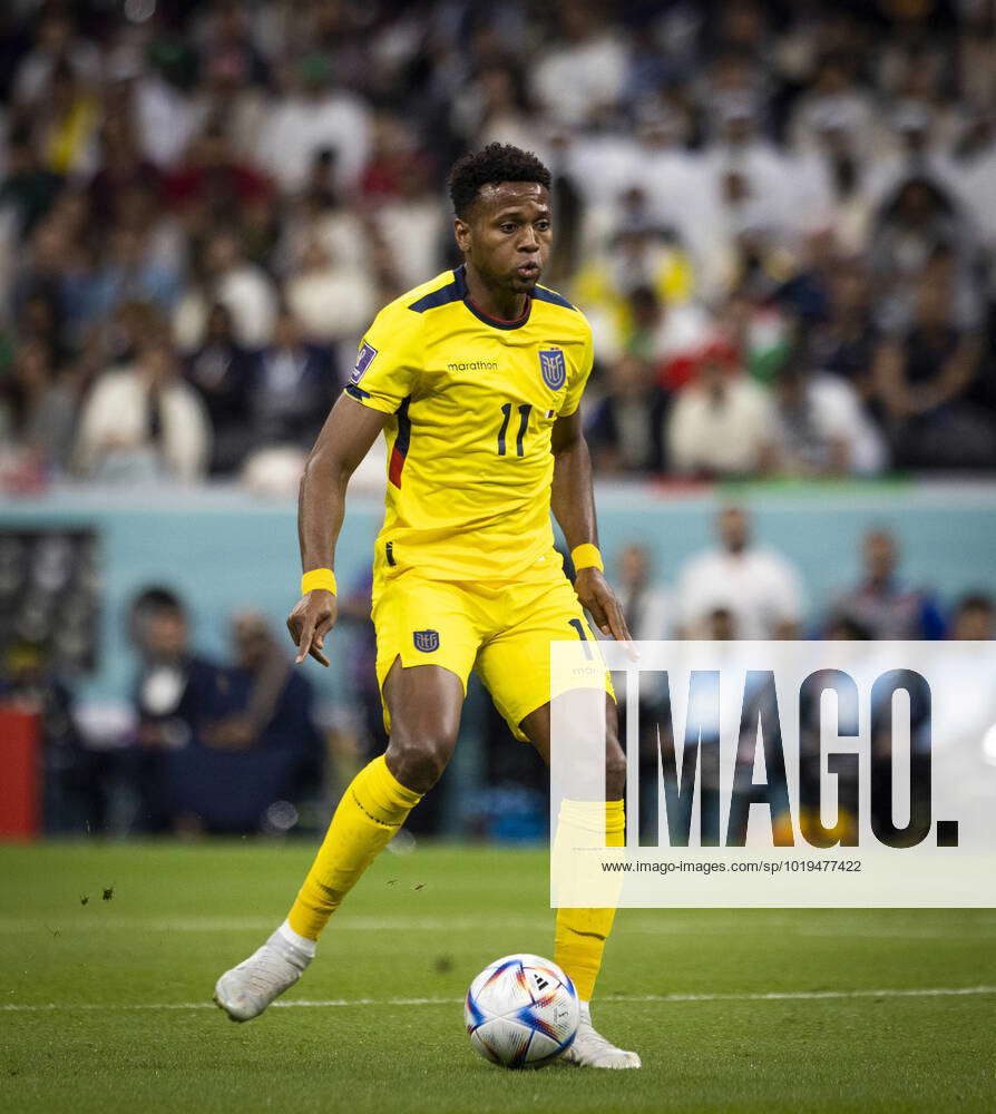 Doha, Qatar 20th Nov, 2022 or 20 11 2022 Michael ESTRADA Ecu Qatar ...