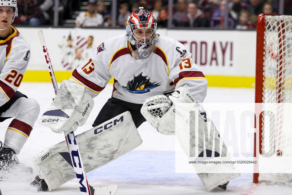 CLEVELAND, OH - DECEMBER 03: Cleveland Monsters goalie Jet Greaves (73 ...