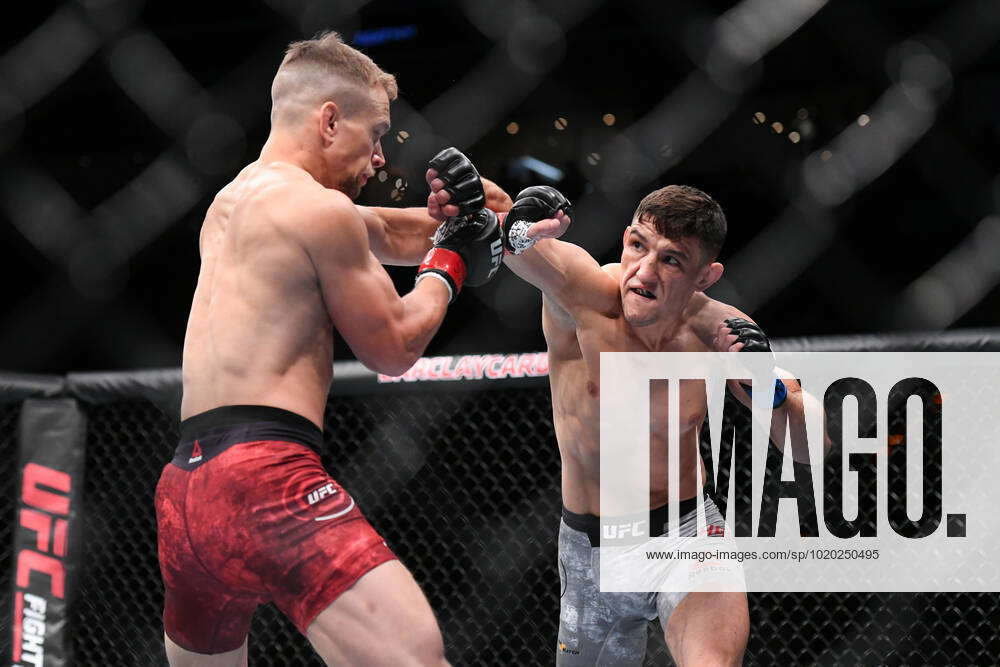 MMA: UFC Fight Night-Hamburg-Hein vs Hadzovic, Jul 22, 2018; Hamburg ...