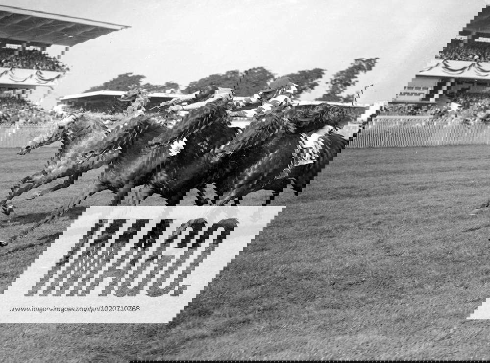 Horse Racing Northolt Park. Fighting out the thrilling finish of the ...