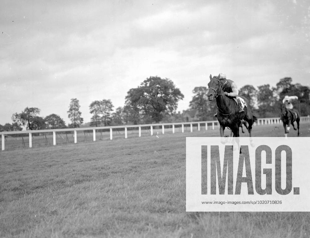 Horse Racing Northolt Park. Willing Pal winning the Tottenham Handicap ...