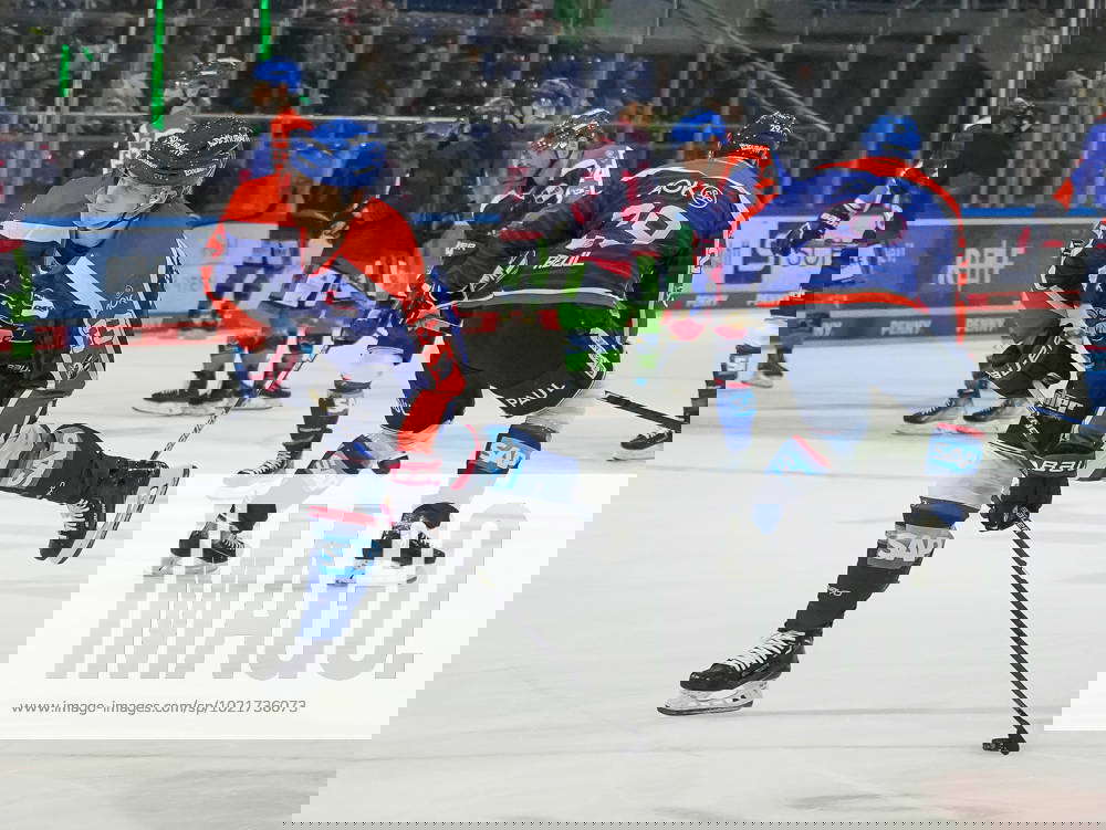 Tim Wohlgemuth Adler Mannheim 33 , before the game Straubing Tigers vs ...