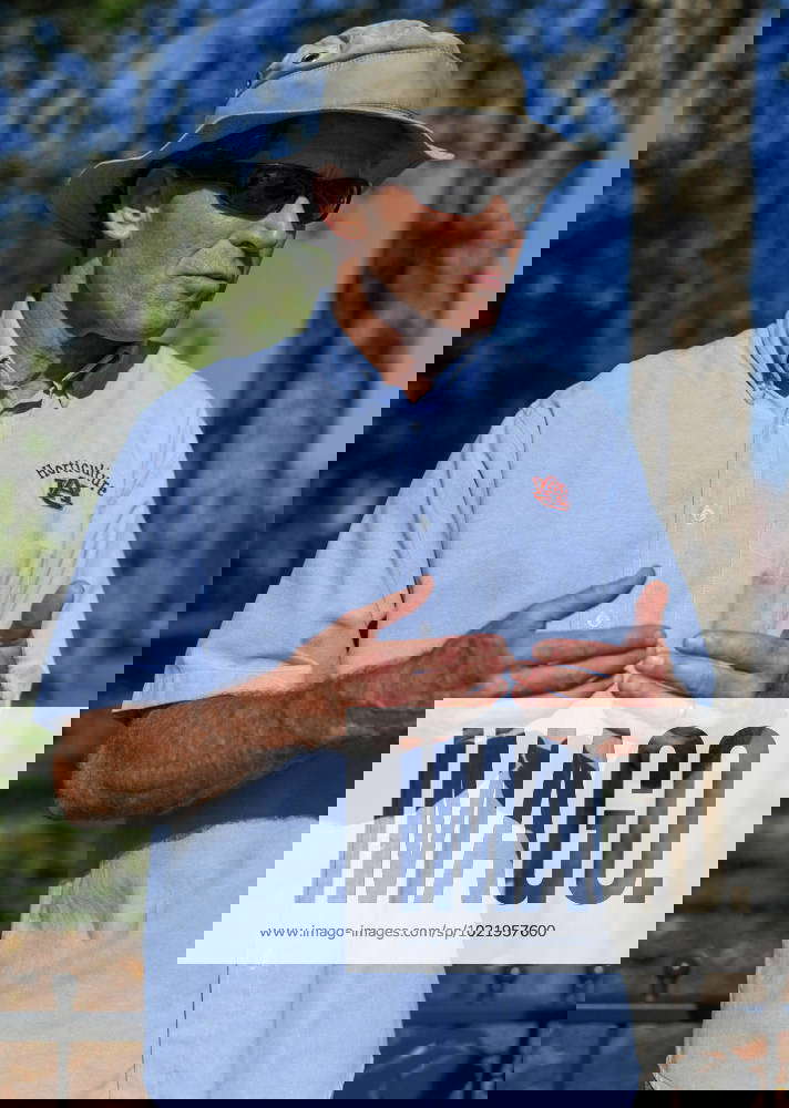 Feature: Toomer s Corner Trees Ready to Roll Again, Aug 30, 2016 ...