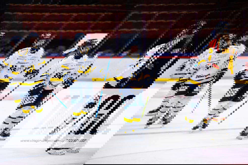 HV71s Kajsa Armborg depresses after the ice hockey match in the SDHL between Brynäs and HV71 on in