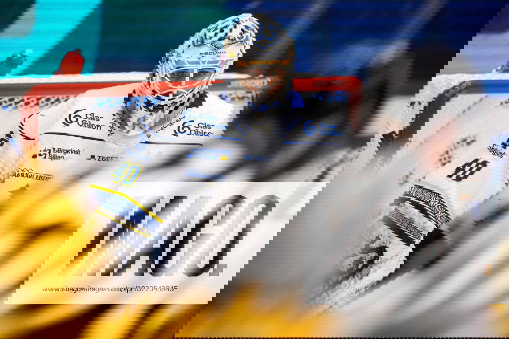 Leksands goalie Mantas Armalis during the ice hockey match in the SHL between Leksand and