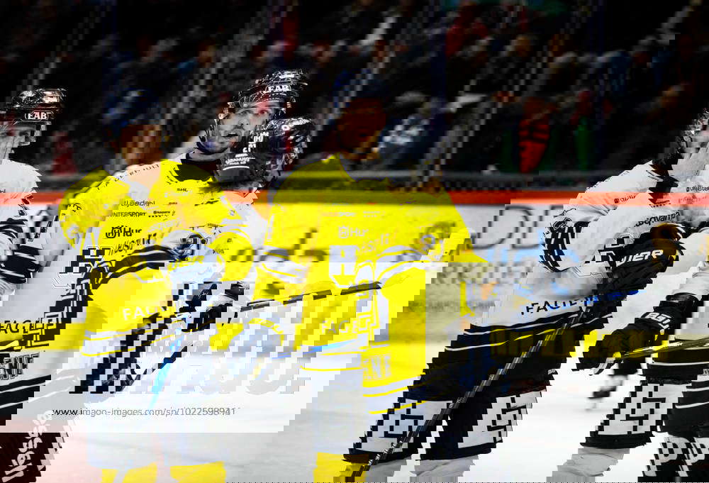 HV71s Niklas Hjalmarsson and Mattias Tedenby depress during the ice hockey match in the SHL between