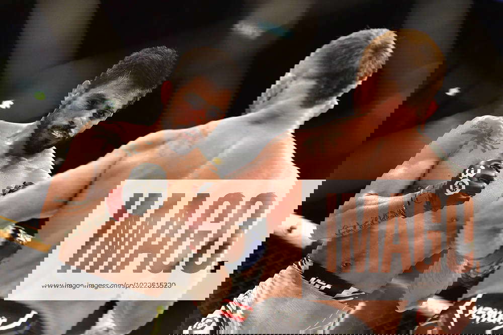 MMA: UFC 283 - Lacerda vs Stamann Jan 21, 2023; Rio de Janeiro, Brazil ...