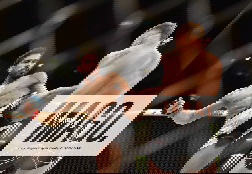 MMA: UFC 283 - Lacerda vs Stamann Jan 21, 2023; Rio de Janeiro, Brazil ...