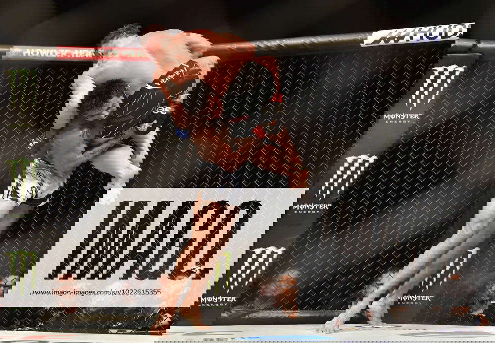 MMA: UFC 283 - Lacerda vs Stamann Jan 21, 2023; Rio de Janeiro, Brazil ...