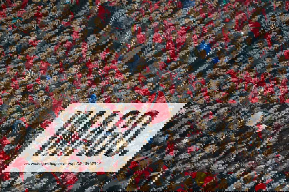 CAIRO, EGYPT - 21 JANUARY: Al Ahly SC fans during the Egyptian Premier ...