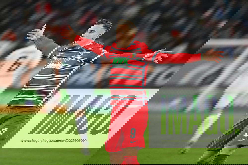 Ermedin DEMIROVIC FC Augsburg , gesture,gives instructions, action ...