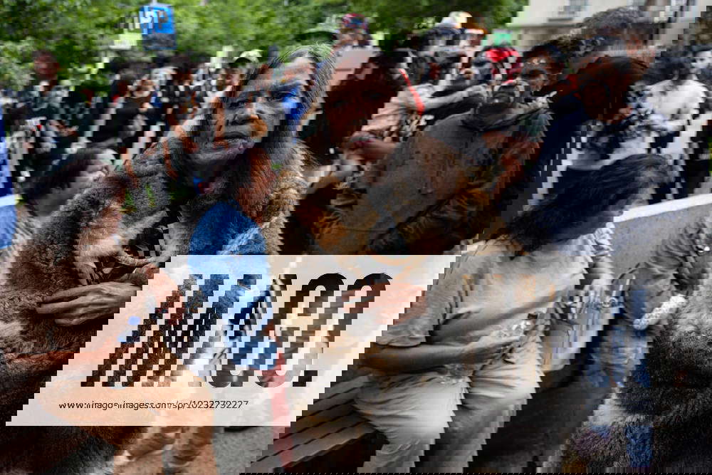 VERONICA NELSON INQUEST, Veronica Nelsons mother Aunty Donna Nelson ...