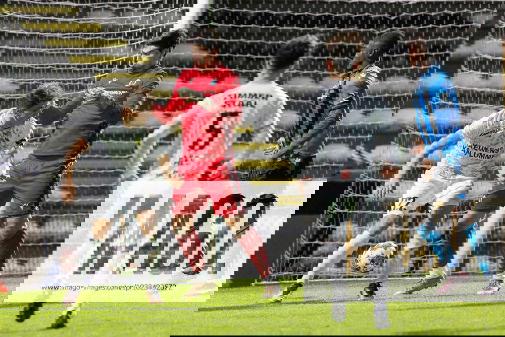 Club NXT s goalkeeper Nick Shinton and Lierse s Daan Vekemans fight for ...