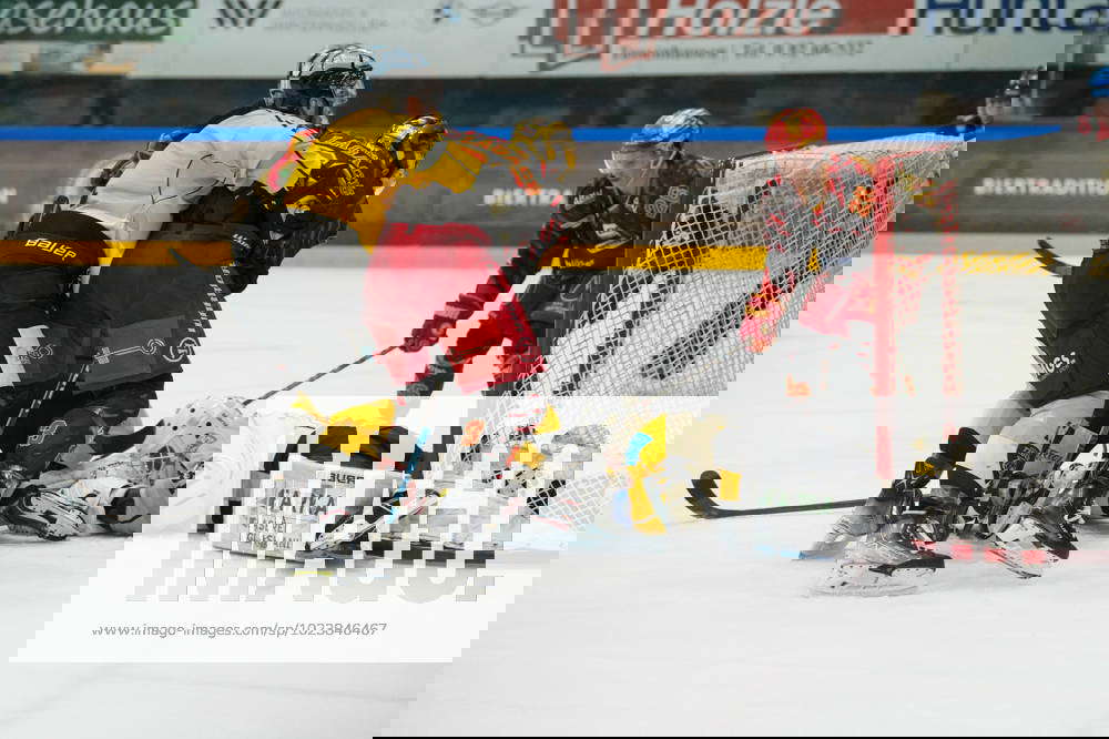 Brandon Halverson Bayreuth Tigers, 31 Torhueter , GER, Ice Hockey, DEL ...