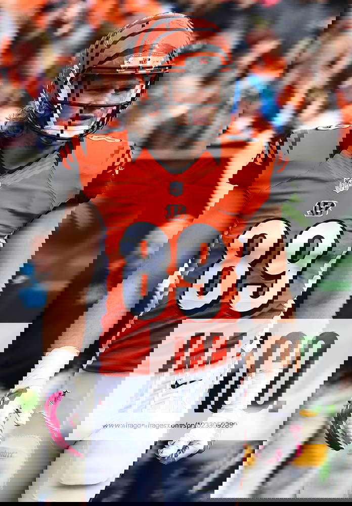 NFL, American Football Herren, USA Carolina Panthers at Cincinnati ...