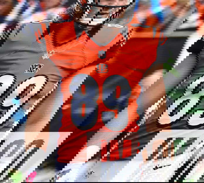 NFL, American Football Herren, USA Carolina Panthers at Cincinnati ...