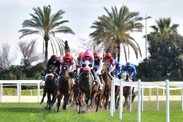 13 02 2020, Cagnes sur Mer, Provence Alpes Cote d Azur, FRA Horses and ...