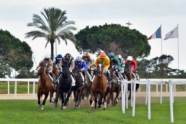 13 02 2020, Cagnes sur Mer, Provence Alpes Cote d Azur, FRA Horses and ...