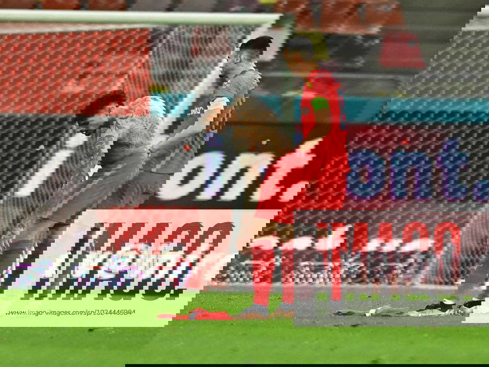 Florinel Teodor Coman at the bust and Adrian Gheorghe Sut in the ...