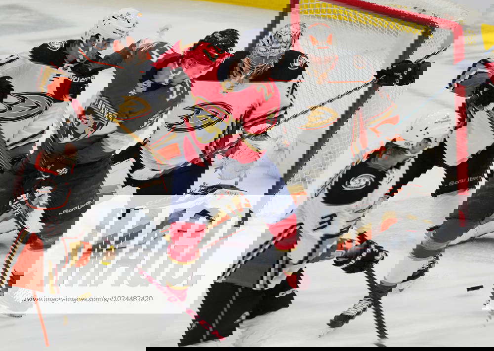 NHL, Eishockey Herren, USA Anaheim Ducks at Florida Panthers Feb 20 ...